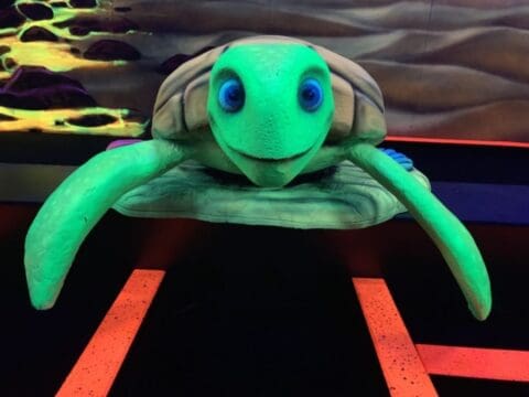 Gallery | GlowZone 360